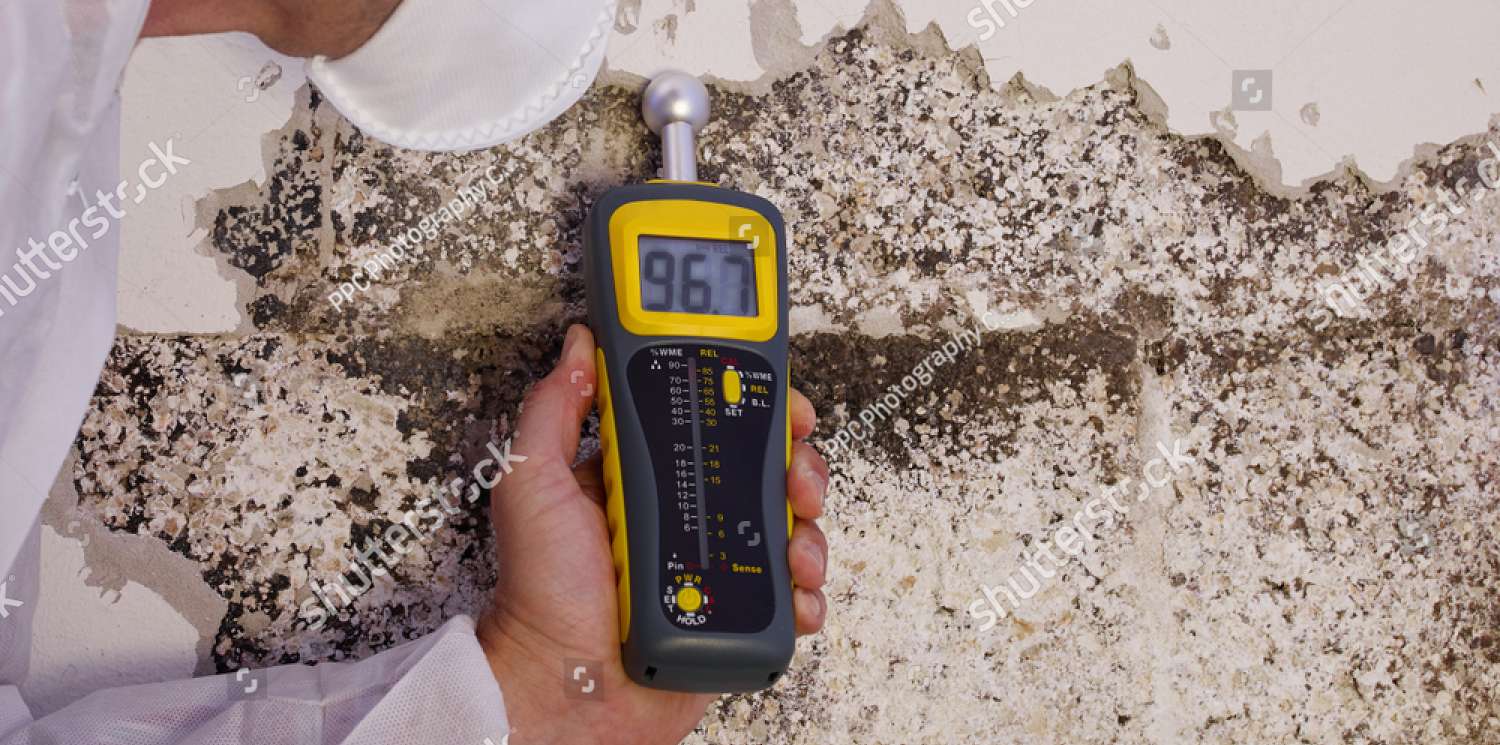Mold – Texas Mold Advisors